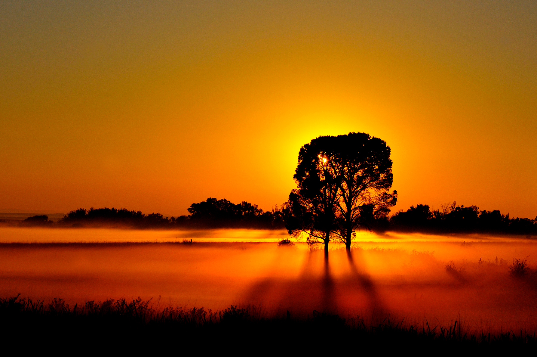 What is Negative Space in Nature Photography? An Easy Guide For ...