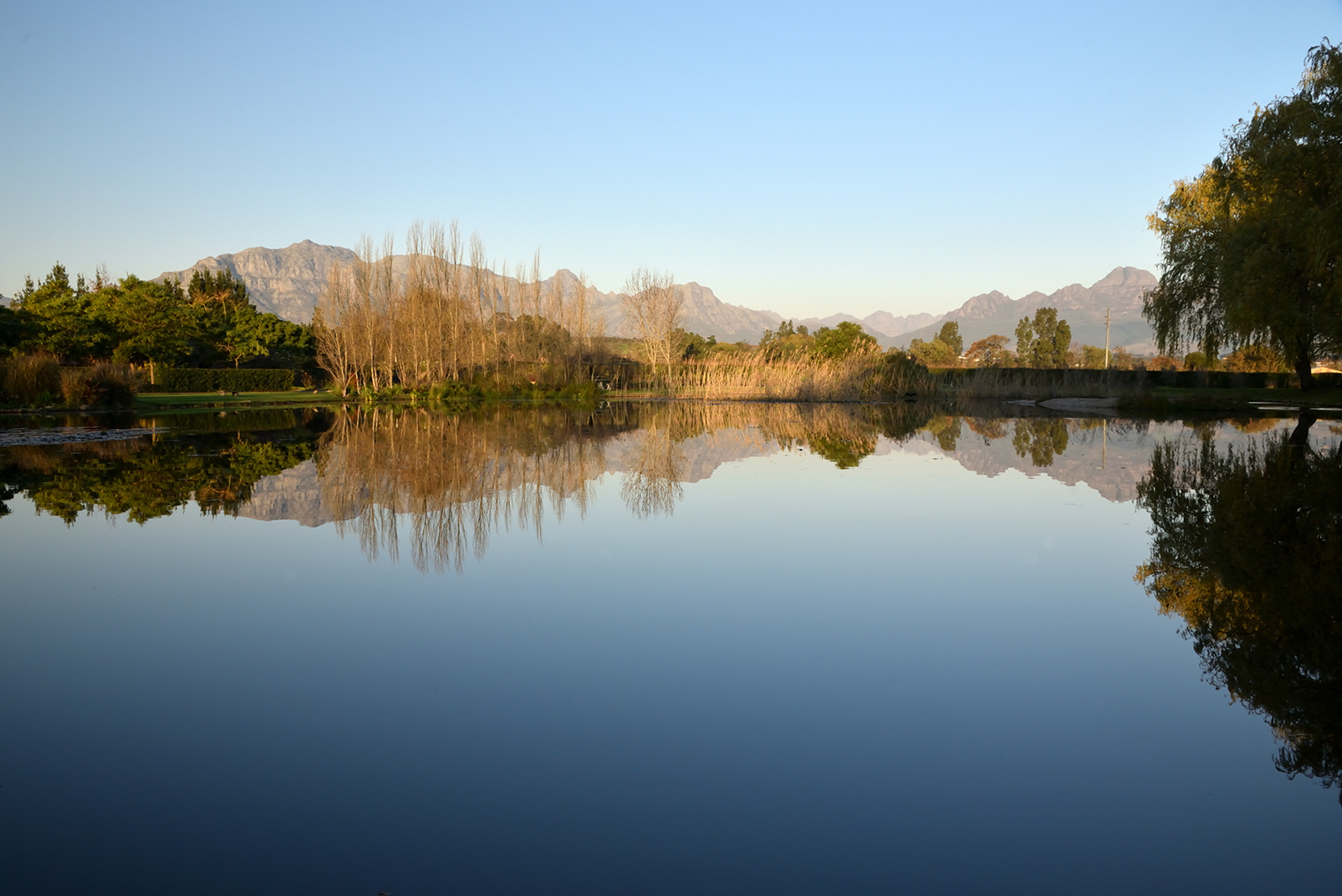 What is Negative Space in Nature Photography? An Easy Guide For ...