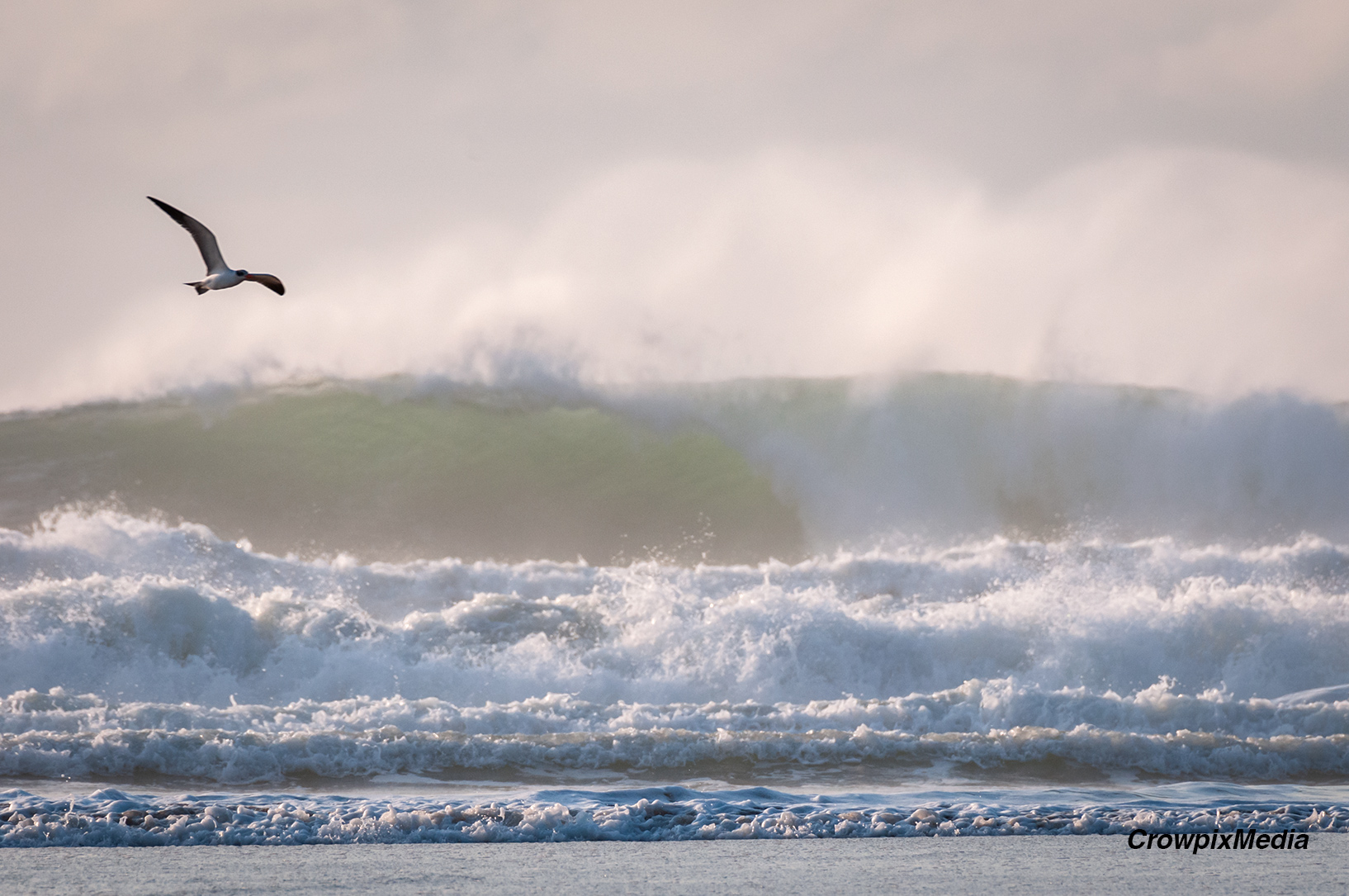 8 Important Ways Conservation Photography Can Help Protect Our Planet ...